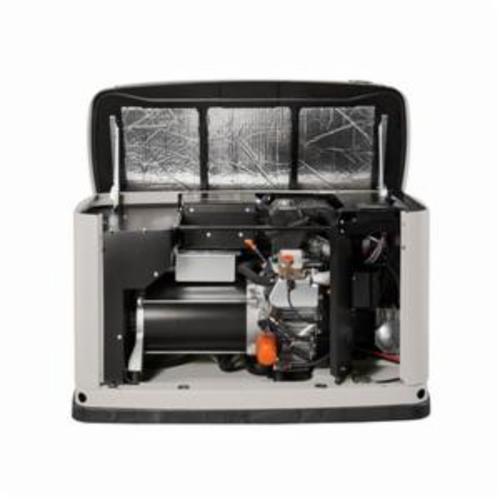 Electrical Generators & Transfer Switches Generators Standby Generators ...