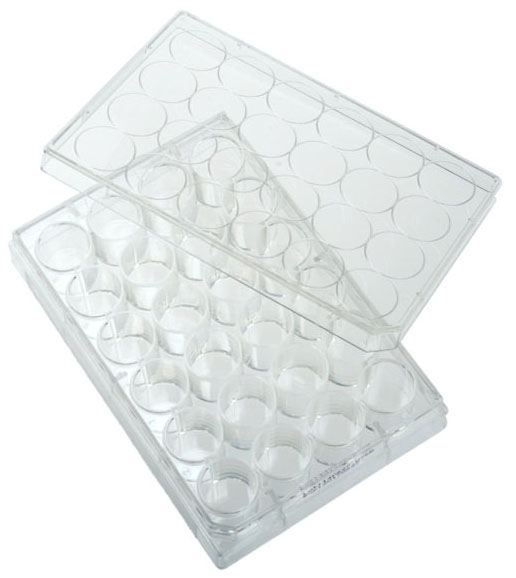 Multiple Well Plate | Mercedes Scientific