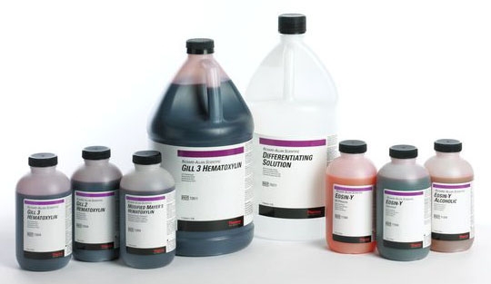 Eosin Y Stain Solution | Mercedes Scientific