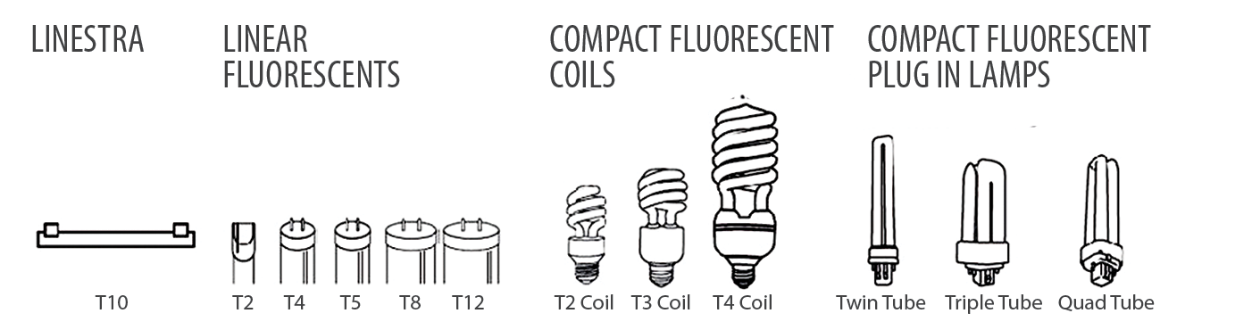 Light Bulb Shapes & Sizes | The Lighting Design Center