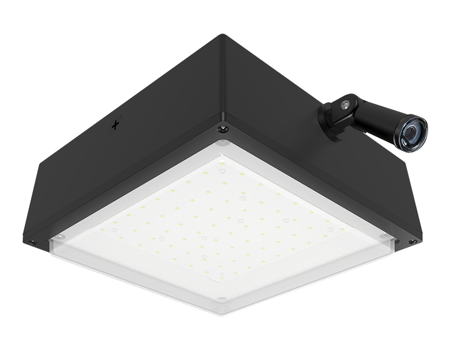 RAB Canopy Lights | RAB Lighting