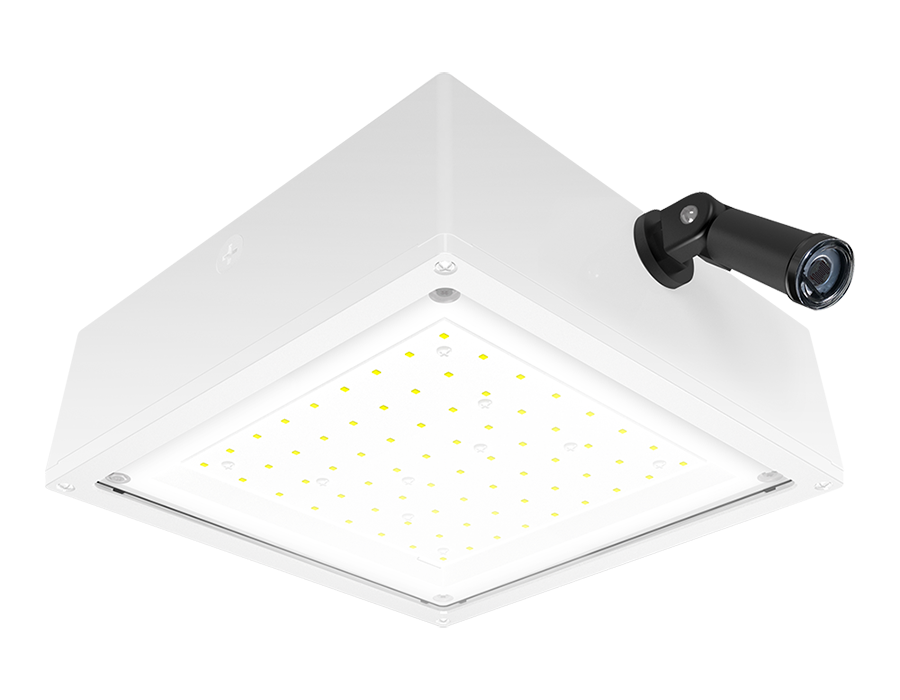 RAB Canopy Lights | RAB Lighting