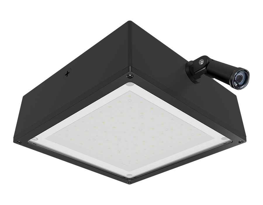 RAB Canopy Lights | RAB Lighting